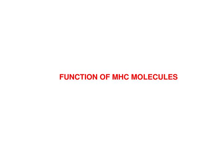 PPT - FUNCTION OF MHC MOLECULES PowerPoint Presentation, free download ...