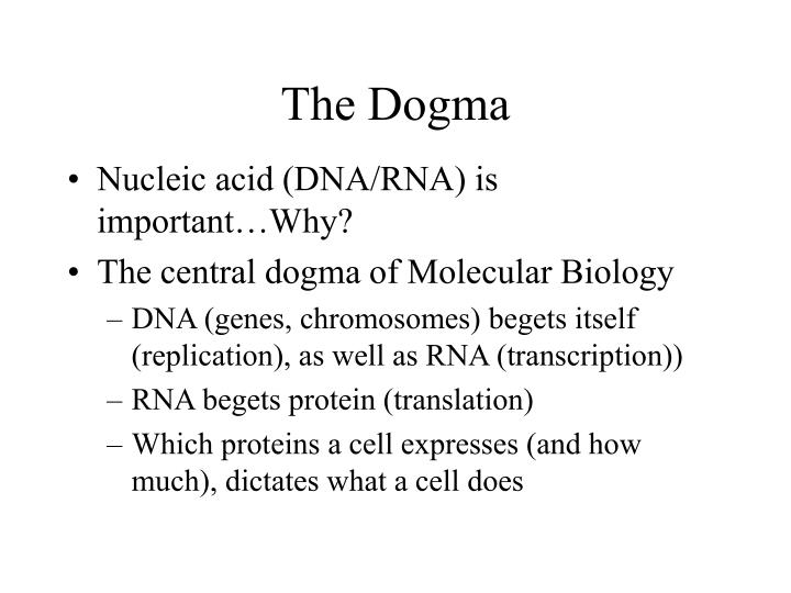 PPT - The Dogma PowerPoint Presentation, free download - ID:3542223