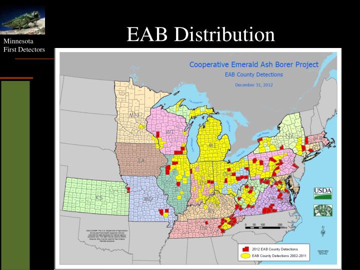 PPT - EAB Distribution PowerPoint Presentation, free download - ID:3542330