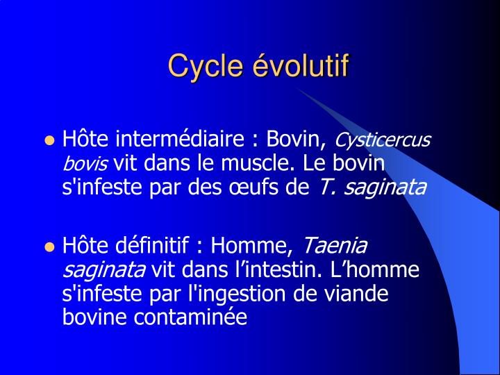 PPT - Cysticercose musculaire Bovine ( Ladrerie Bovine) PowerPoint ...