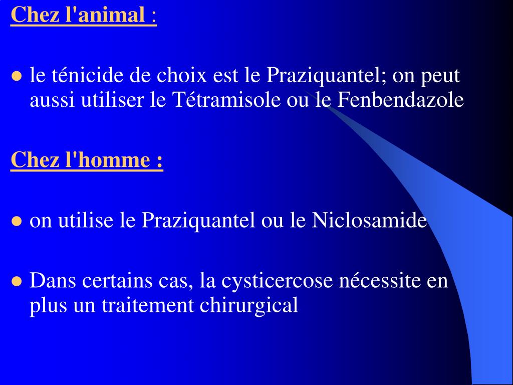 PPT - Cysticercose musculaire Bovine ( Ladrerie Bovine) PowerPoint ...