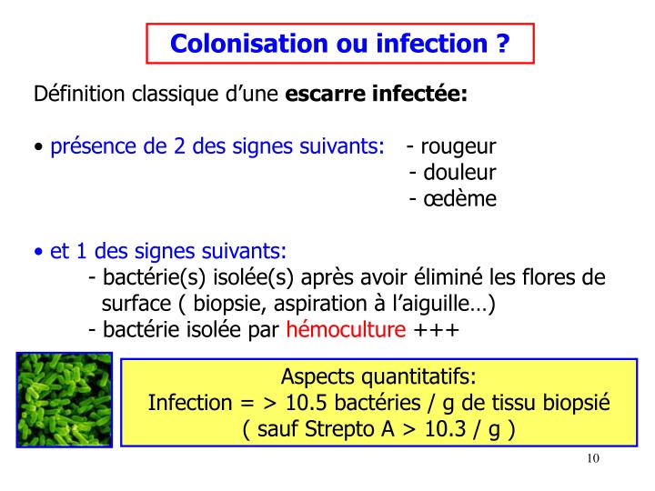 PPT - Infection – Colonisation Bactéries multirésistantes aux ...