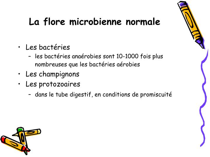 PPT - Génétique bactérienne PowerPoint Presentation - ID:3543043