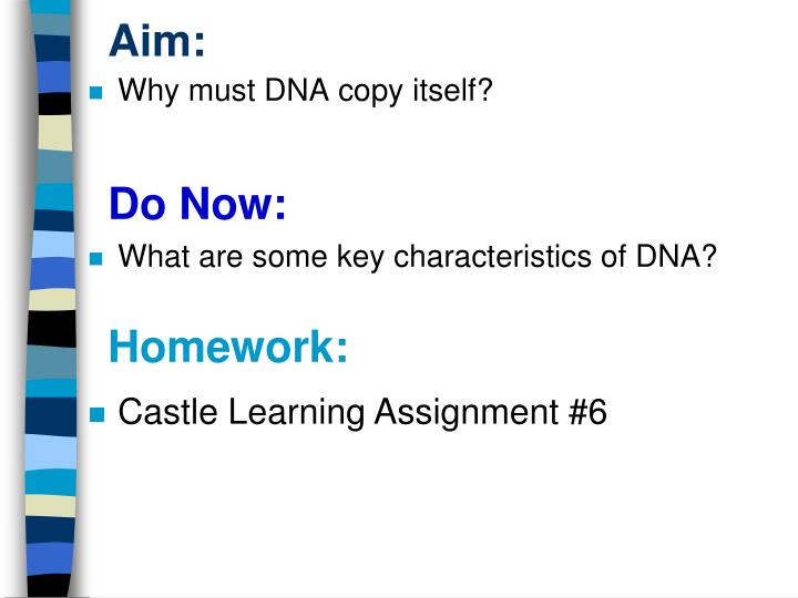 PPT - Aim: PowerPoint Presentation, free download - ID:3543747