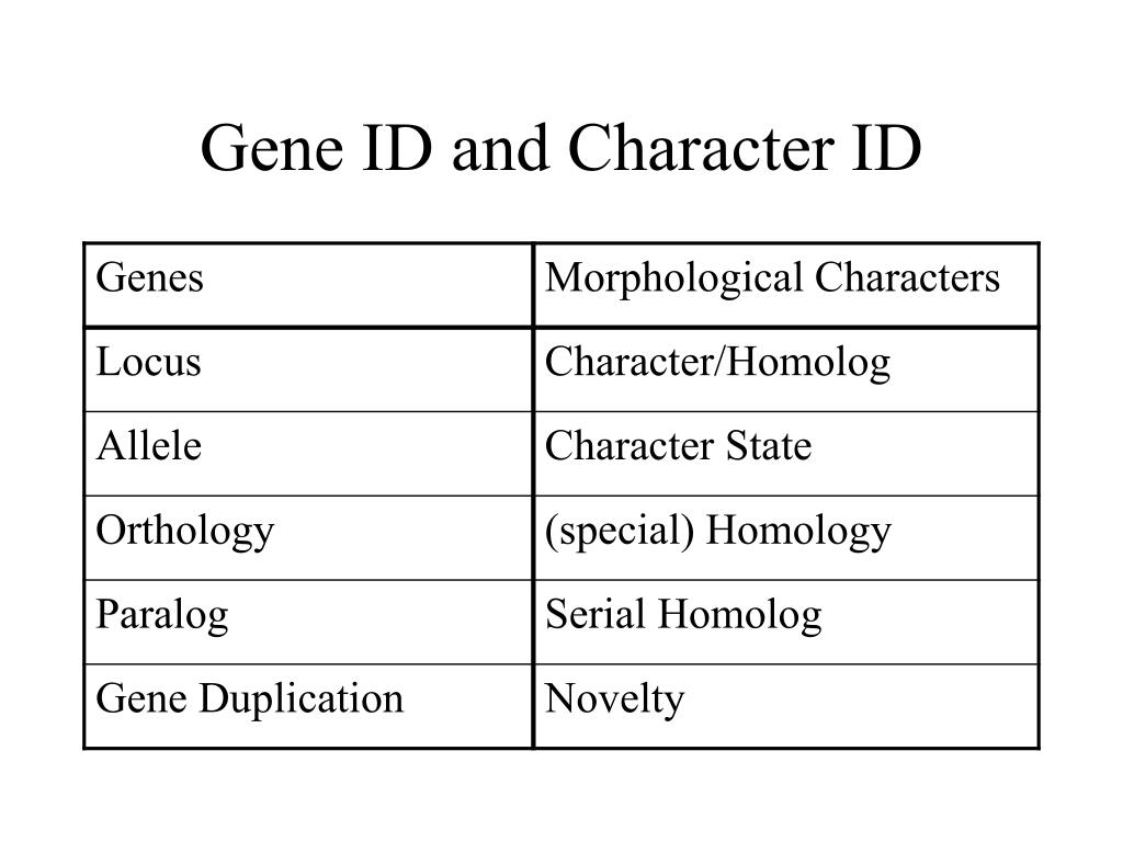 PPT - Evolution of Gene Regulation in the Endometrium: a mammalian ...