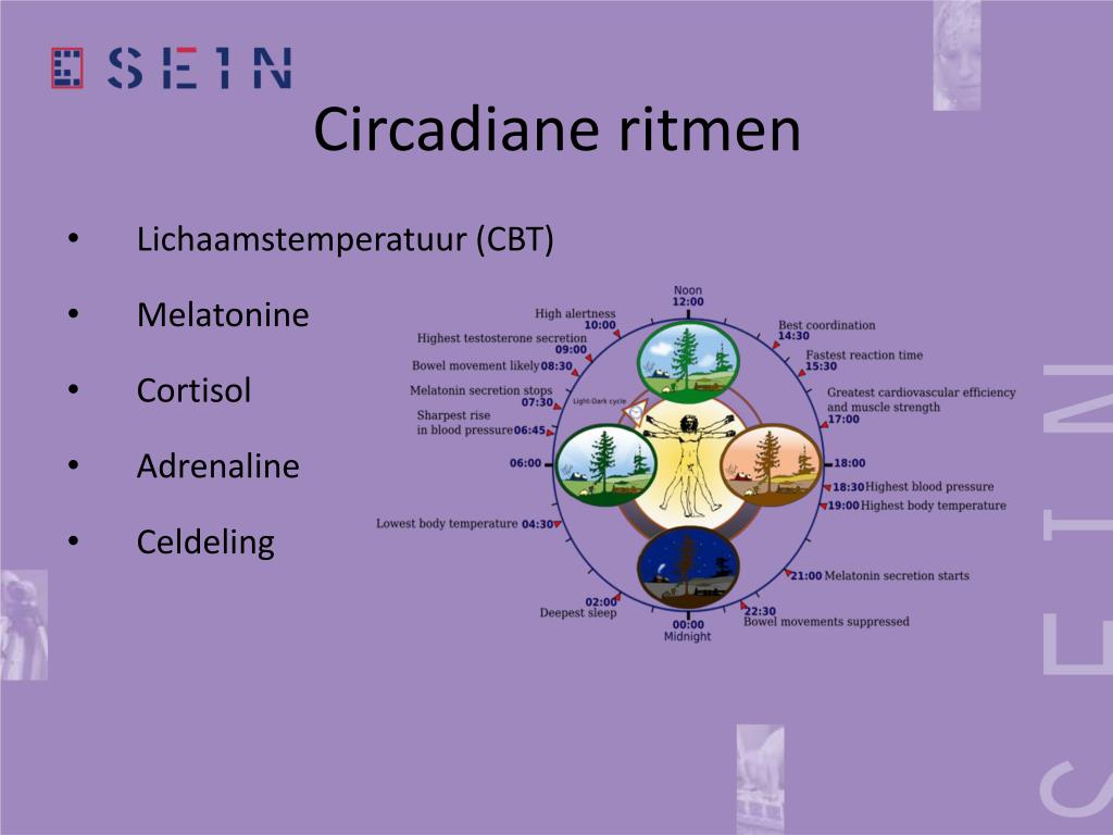PPT - Cognitieve gedragstherapie bij slaapstoornissen PowerPoint ...