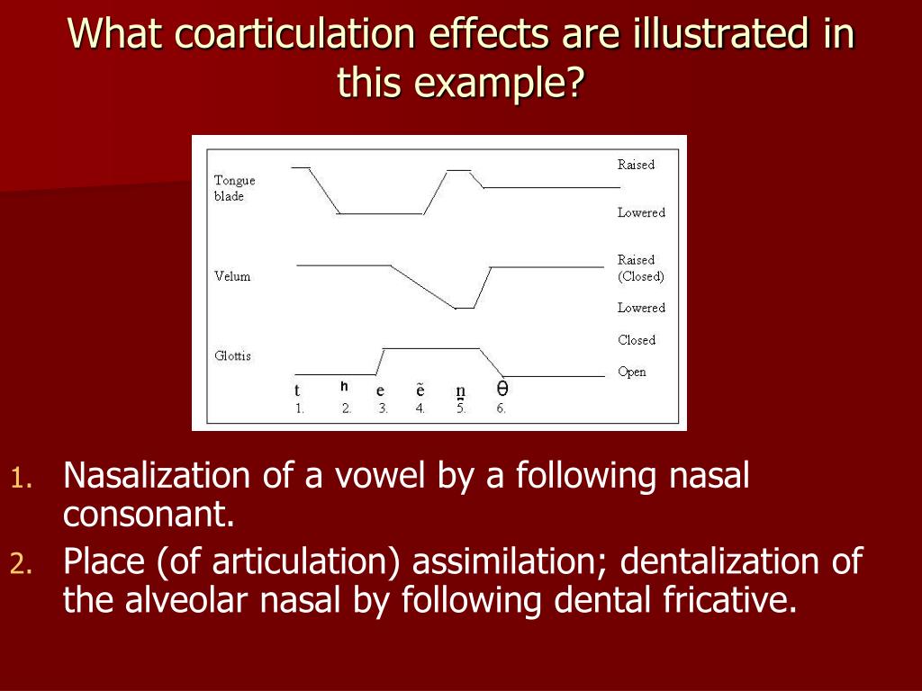 PPT - Narrow phonetic transcription PowerPoint Presentation, free ...