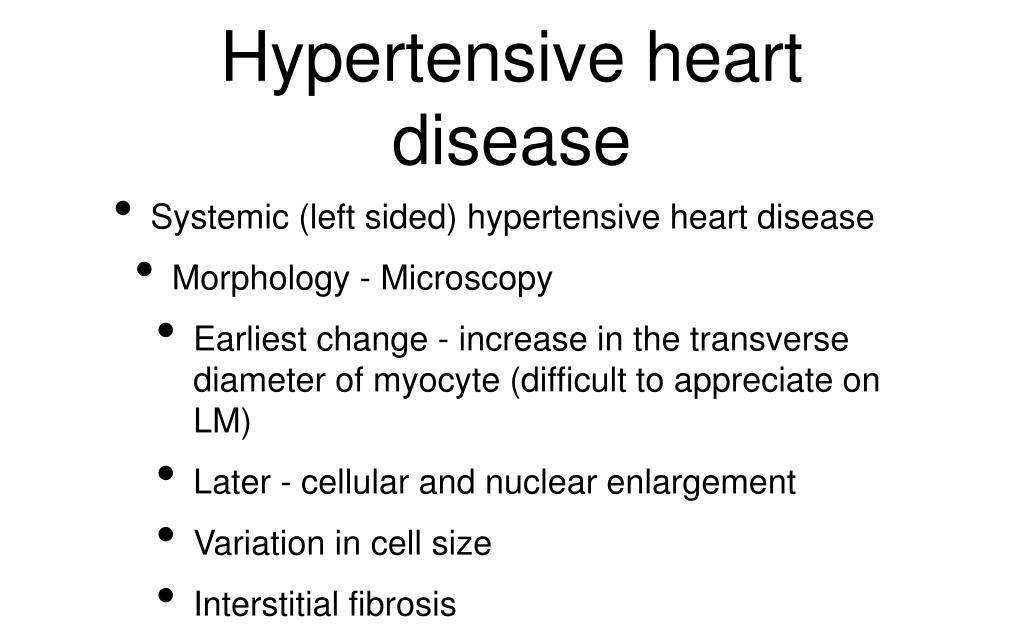 PPT - Hypertensive Vascular Disease Hypertensive Heart Disease ...