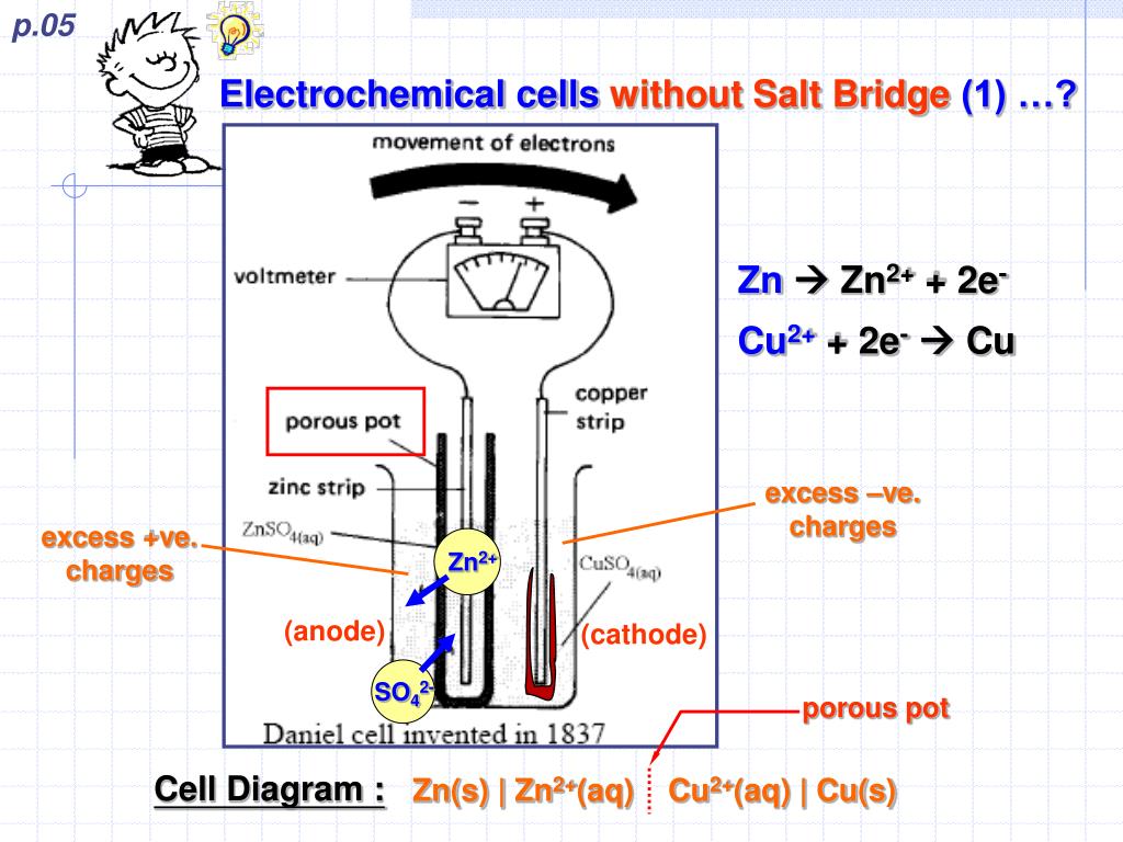 PPT - REDOX EQM Standard Hydrogen Electrode and Measurement of ...