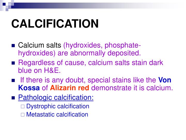 PPT - Pathologic Calcification PowerPoint Presentation - ID:3545884