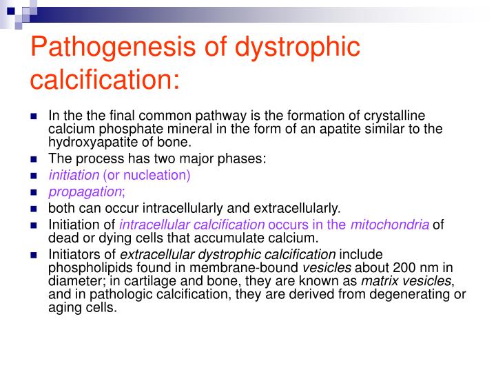 PPT - Pathologic Calcification PowerPoint Presentation - ID:3545884