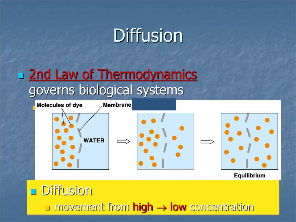 PPT - BM 2251-BIO MEDICAL INSTRUMENTATION PowerPoint Presentation, free ...