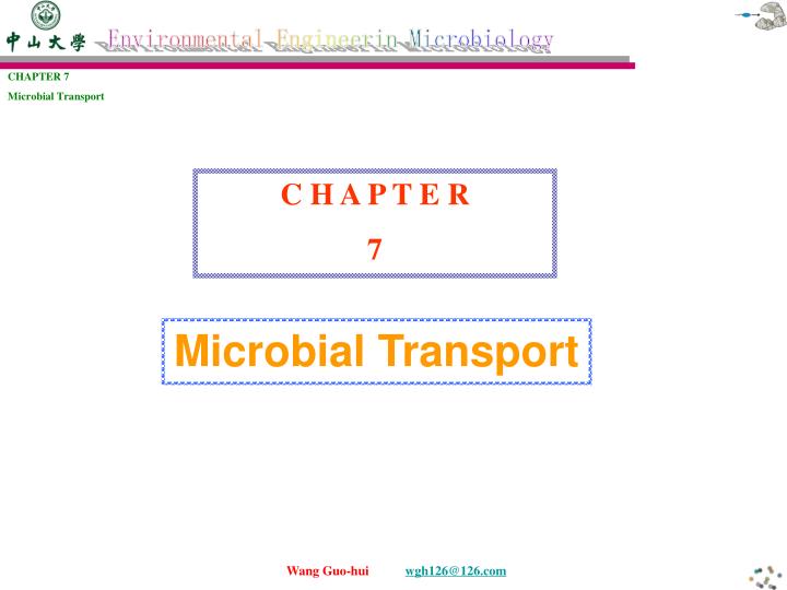 Ppt C H A P T E R 7 Powerpoint Presentation Free Download Id 3546374