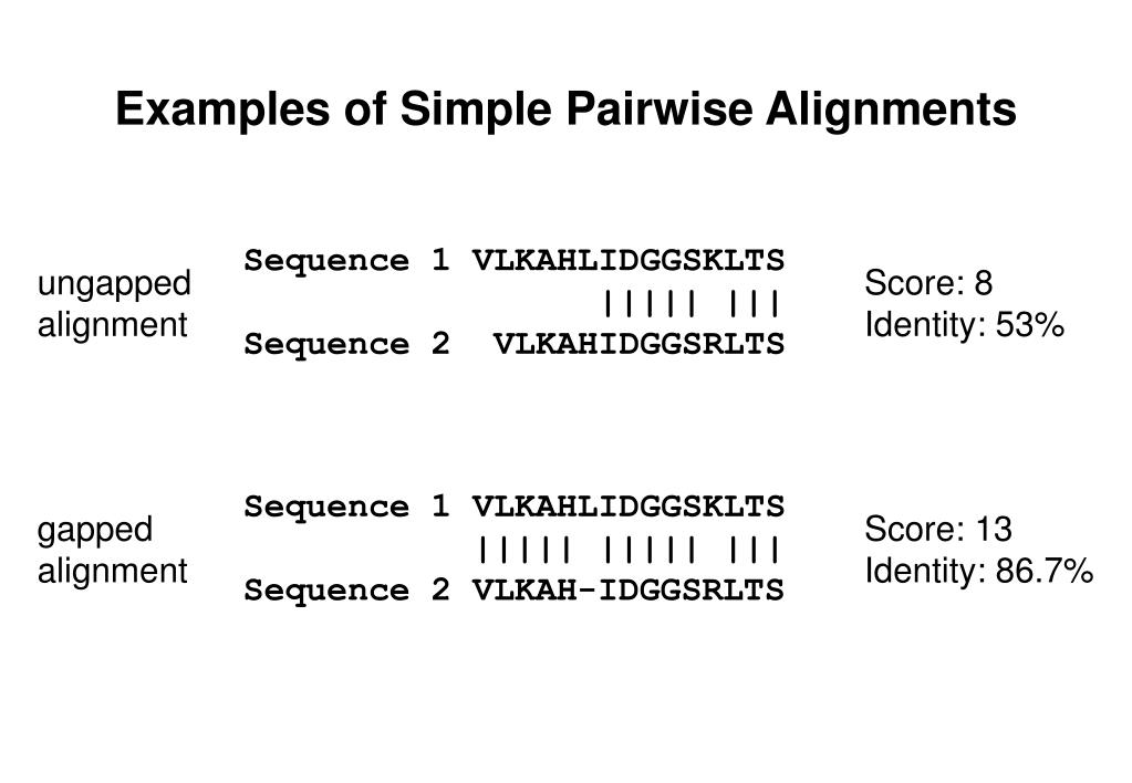 PPT - Bioinformatics Part 3: Pairwise Alignments and Database Searches ... PPT - Bioinformatics Part 3: Pairwise Alignments and Database Searches ...
