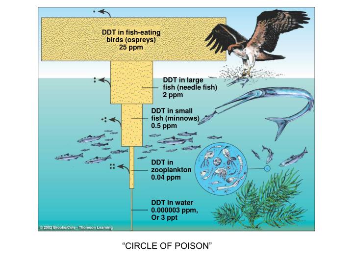 PPT - BIOCIDES PowerPoint Presentation - ID:3547532