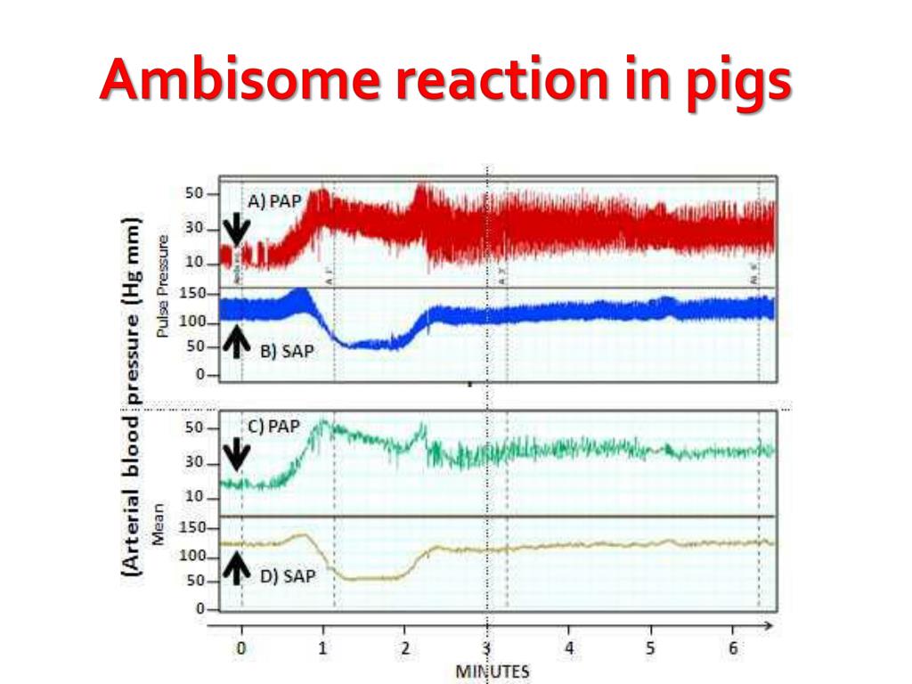 PPT - Nanotoxikológia I: Nanogyógyszerek Immunológiai Mellékhatásai ...