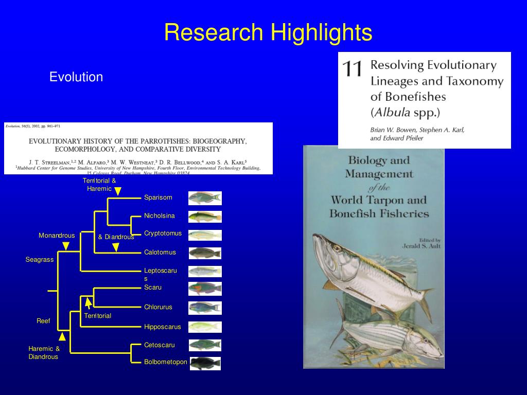 PPT - Hawaii Institute of Marine Biology PowerPoint Presentation, free ...