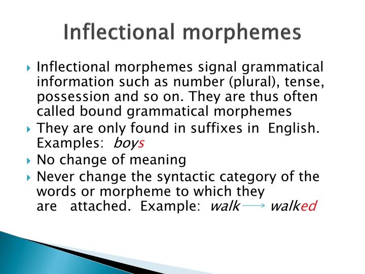 PPT - MORPHOLOGY PowerPoint Presentation - ID:3548496