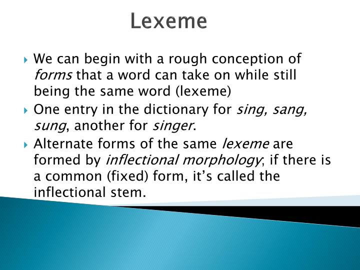 PPT - MORPHOLOGY PowerPoint Presentation - ID:3548496