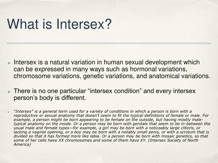 PPT - For the Beginner Amelie Schreiber PowerPoint Presentation - ID ...