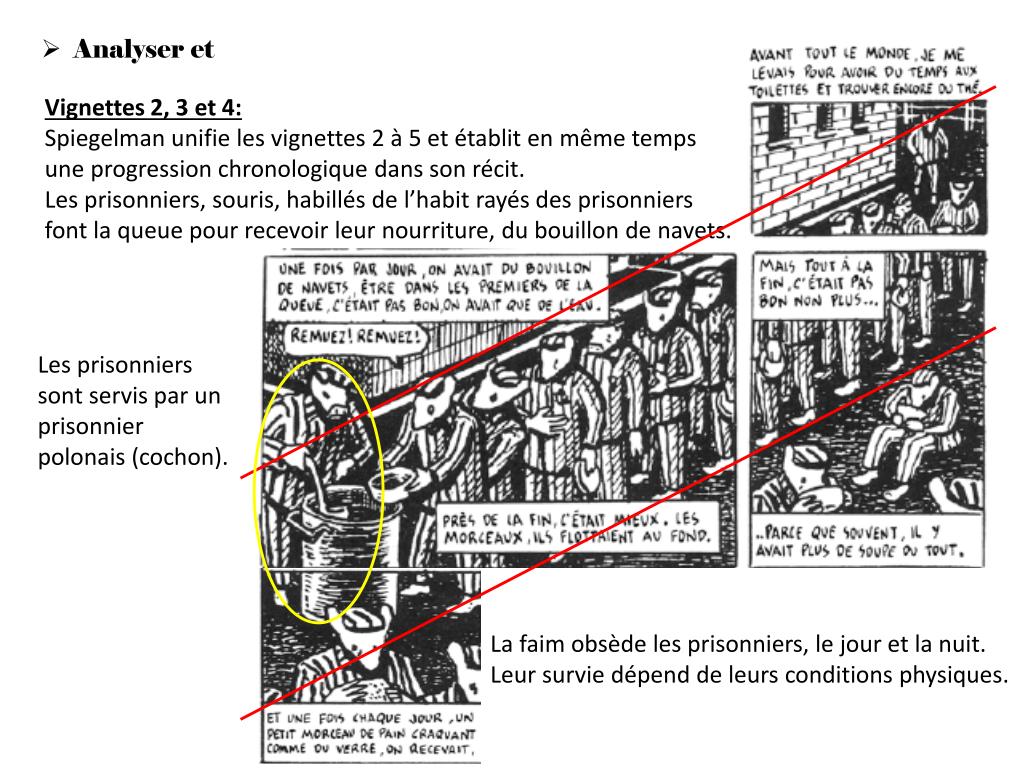 PPT - Histoire des Arts – Art du visuel Maus, un survivant raconte d ...