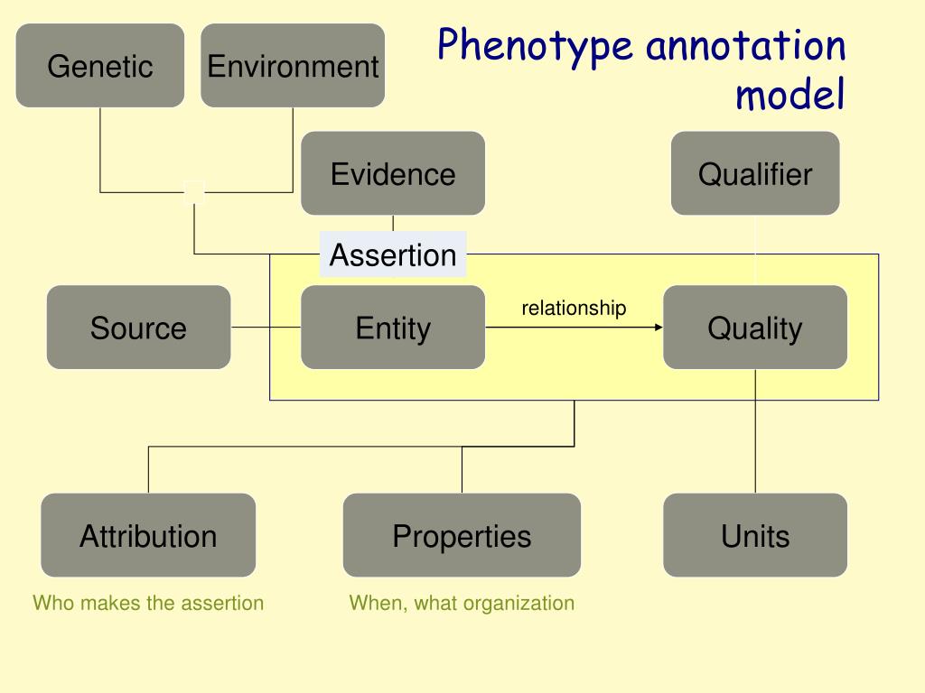 PPT - PATO & Phenotypes: From model organisms to clinical medicine ...