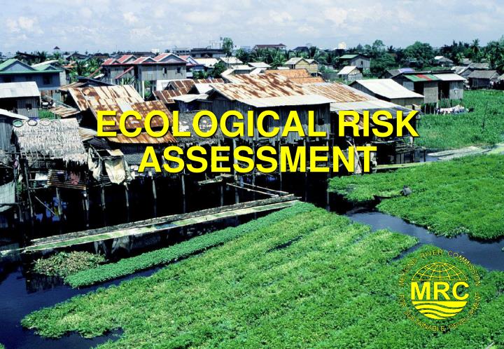 PPT - ECOLOGICAL RISK ASSESSMENT PowerPoint Presentation, free download - ID:3550197