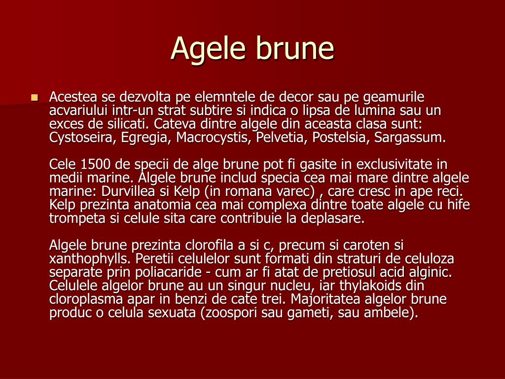 PPT - Acest proiect este de elevul Caraignat Cosmin-Georgian Sc.Nr.12 ...