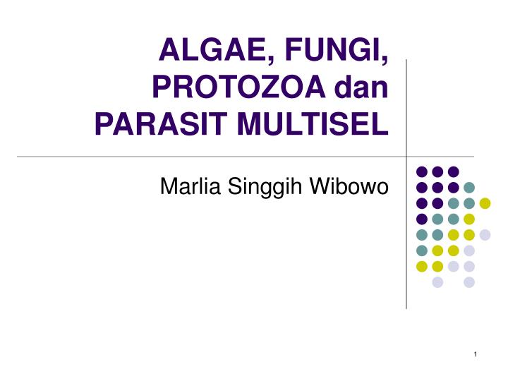 PPT - ALGAE, FUNGI, PROTOZOA dan PARASIT MULTISEL PowerPoint ...