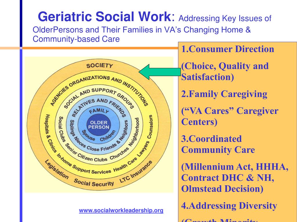 PPT - HPPAE and the VHA/ Geriatric Research Education and Clinical ...