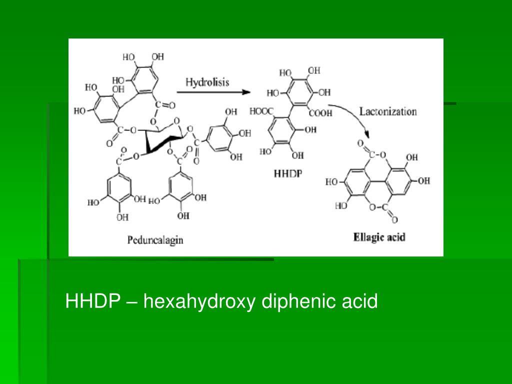 PPT - Medicinal plants and medical plant materials that contain tannic ...