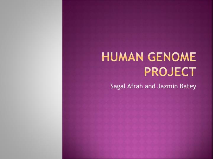 PPT - Human Genome Project PowerPoint Presentation, free download - ID ...
