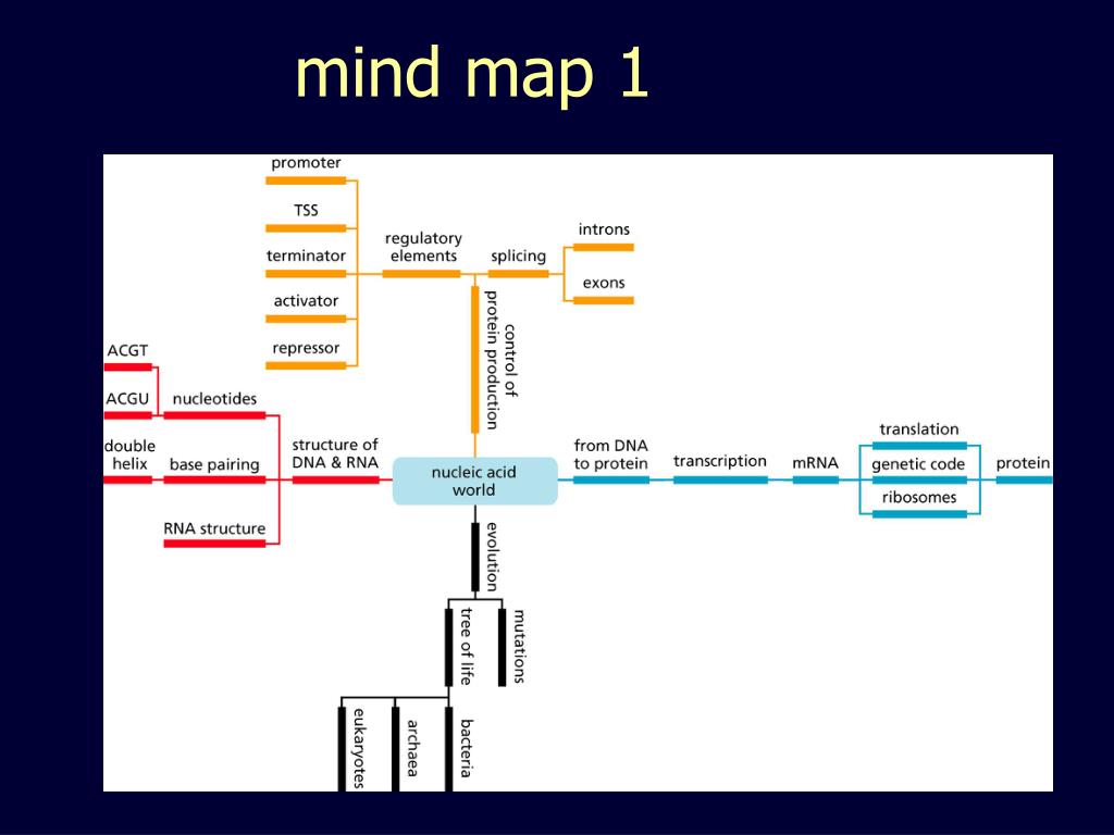 PPT - The Tree of Life according to SSU ribosomal RNA (+) PowerPoint ...