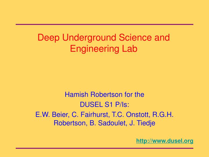 PPT - Deep Underground Science and Engineering Lab PowerPoint ...