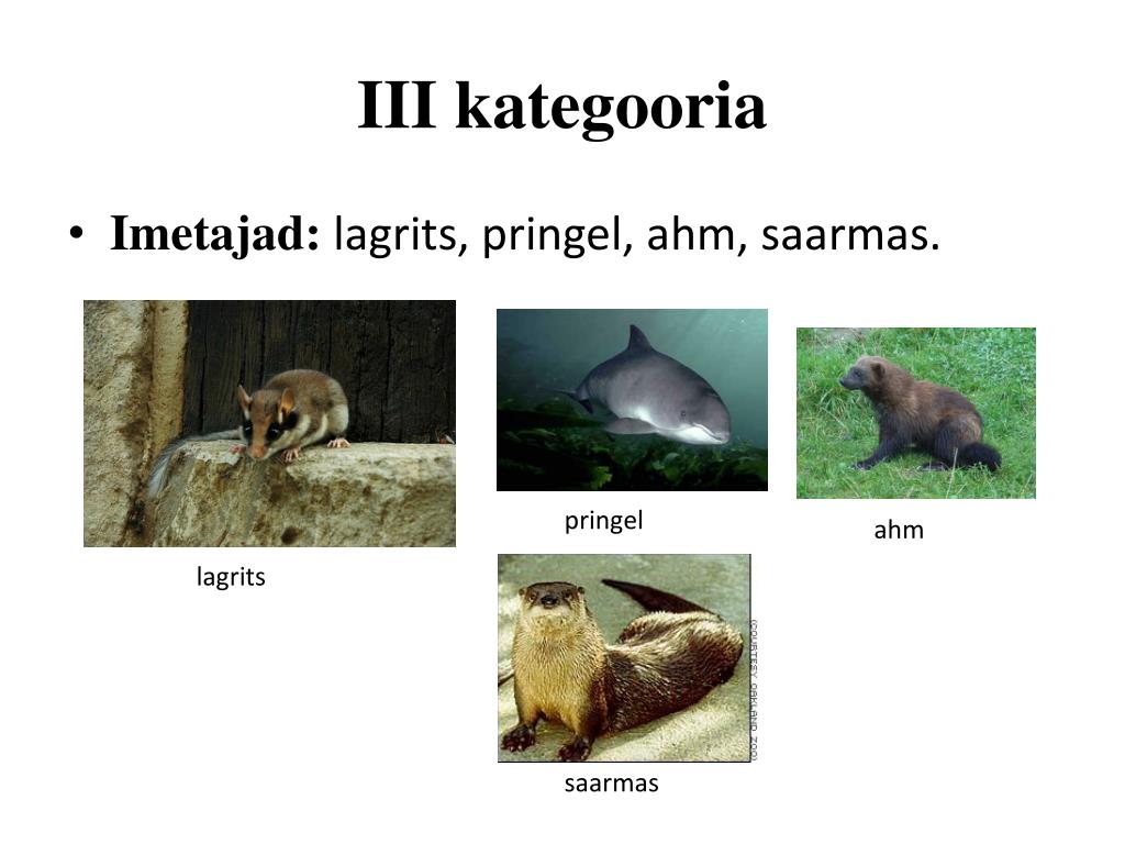 PPT - looduskaitse all olevad liigid Eestis PowerPoint Presentation ...