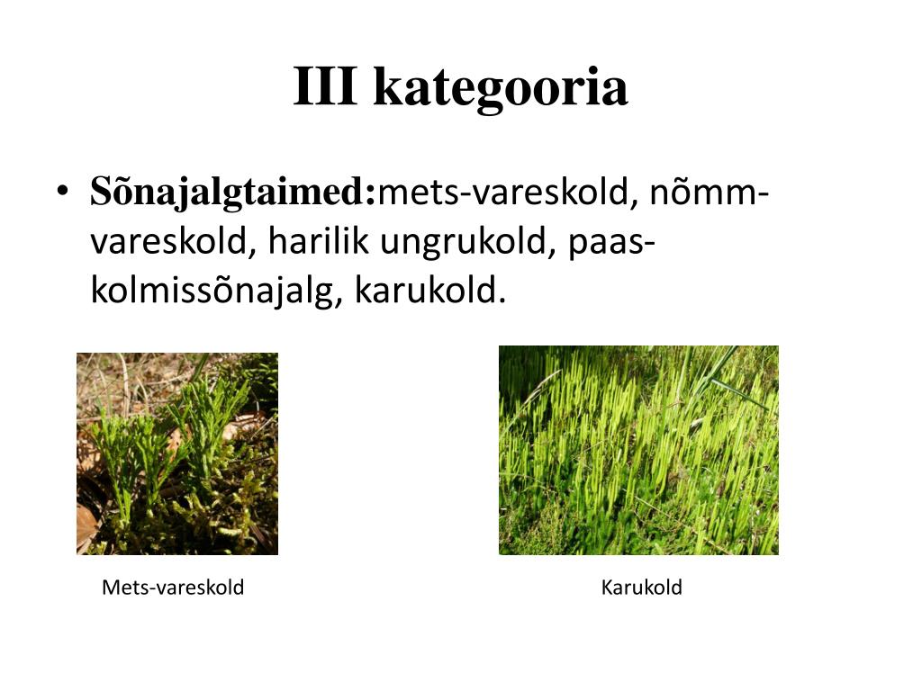 PPT - looduskaitse all olevad liigid Eestis PowerPoint Presentation ...