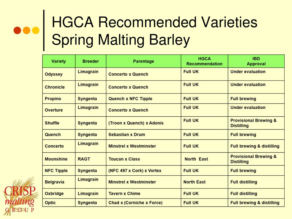 PPT - Crisp Malting Group Scottish Siba meeting PowerPoint Presentation ...