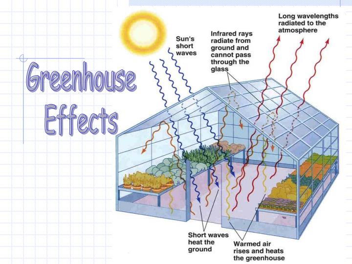 PPT - Greenhouse Effects PowerPoint Presentation, free download - ID ...
