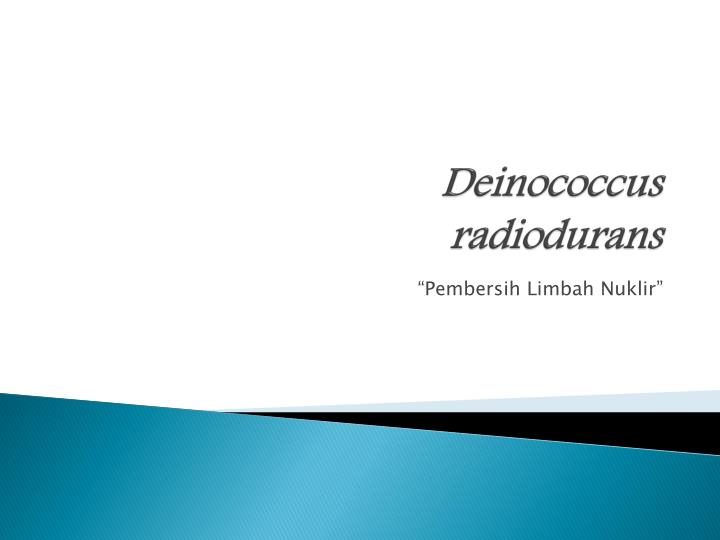 PPT - Deinococcus radiodurans PowerPoint Presentation, free download - ID:3553035