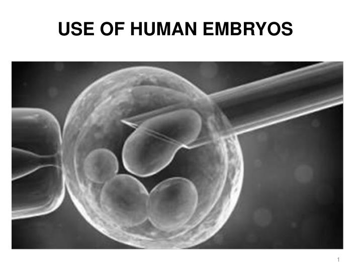 PPT - USE OF HUMAN EMBRYOS PowerPoint Presentation, free download - ID ...