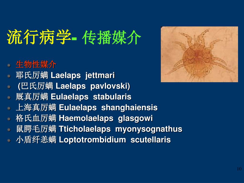 PPT - 肾综合征出血热 Hemorrhagic Fever with Renal Syndrome, HFRS 流行性出血热 ...