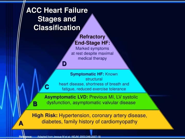 PPT - Acute vs. Chronic Heart Failure PowerPoint Presentation - ID:3553671