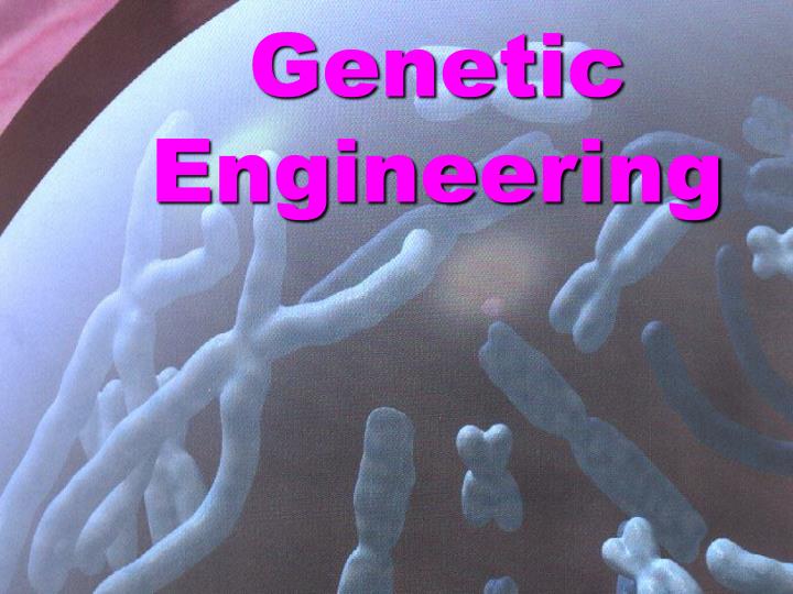 PPT - Genetic Engineering PowerPoint Presentation, free download - ID ...
