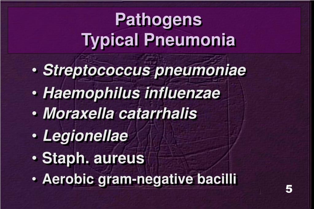 PPT - #1005 Hospital & Community Acquired Pneumonias PowerPoint ...