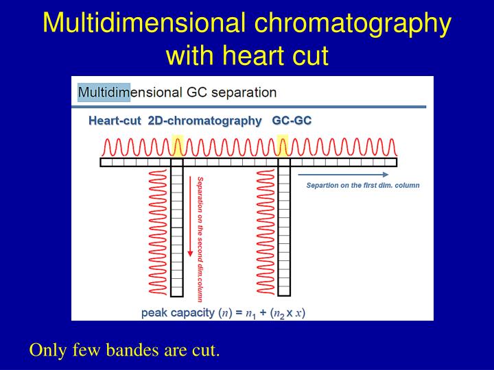 PPT - Multidimensional chromatography PowerPoint Presentation - ID:3554403