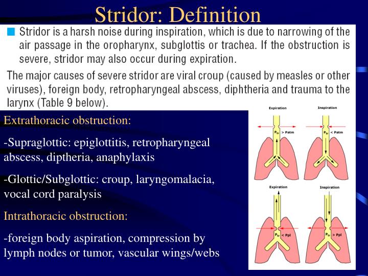 PPT - Stridor and Upper Airway Obstruction PowerPoint Presentation - ID ...