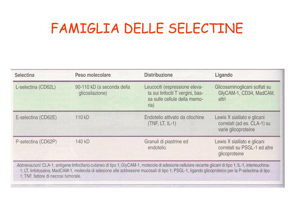 PPT - CORSO DI IMMUNOLOGIA per il corso di Laurea in biotecnologie a.a ...