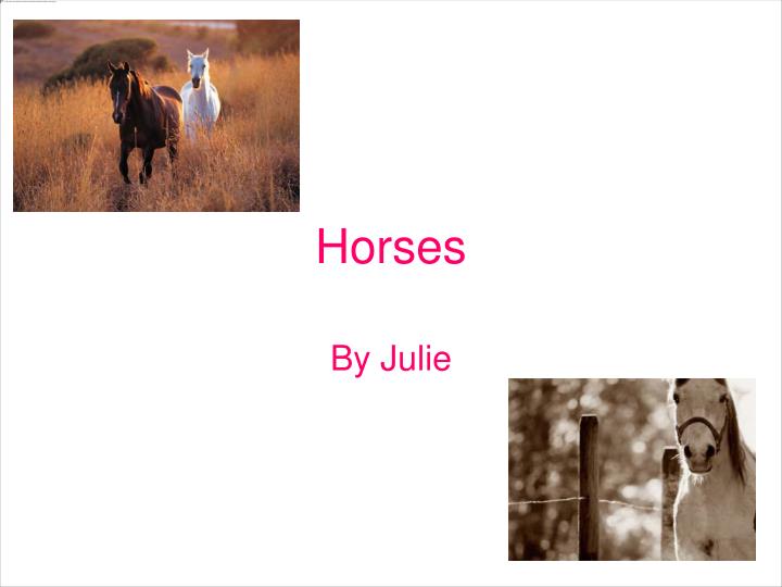PPT - Horses PowerPoint Presentation, free download - ID:3555136