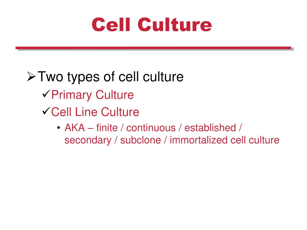 PPT - Plant and Mammalian Tissue Culture PowerPoint Presentation, free ...