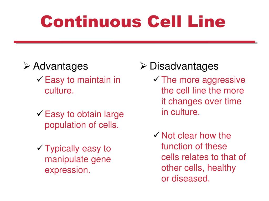 PPT - Plant and Mammalian Tissue Culture PowerPoint Presentation, free ...